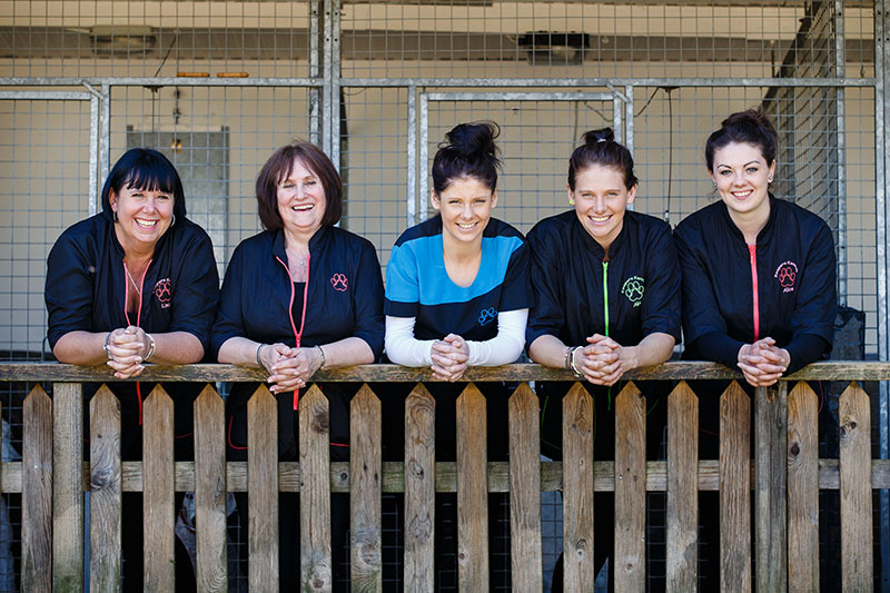 Keepers Kennels - Boarding Kennels Lower Beeding, Horsham, West Sussex ...