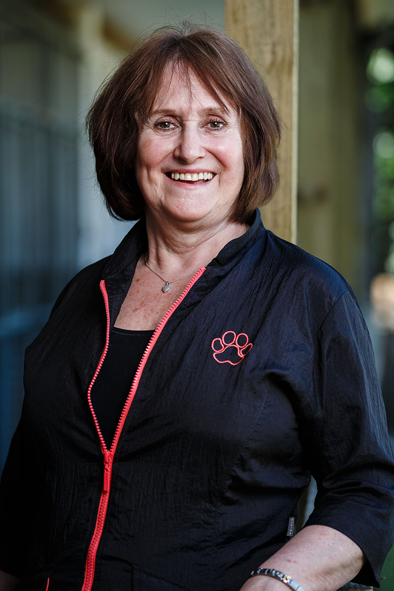 Keepers Kennels - Boarding Kennels Lower Beeding, Horsham, West Sussex ...