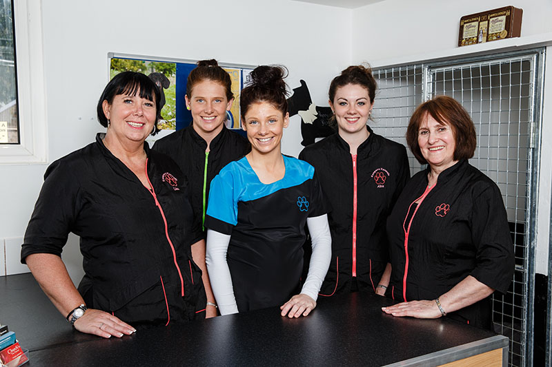 Keepers Kennels - Boarding Kennels Lower Beeding, Horsham, West Sussex ...