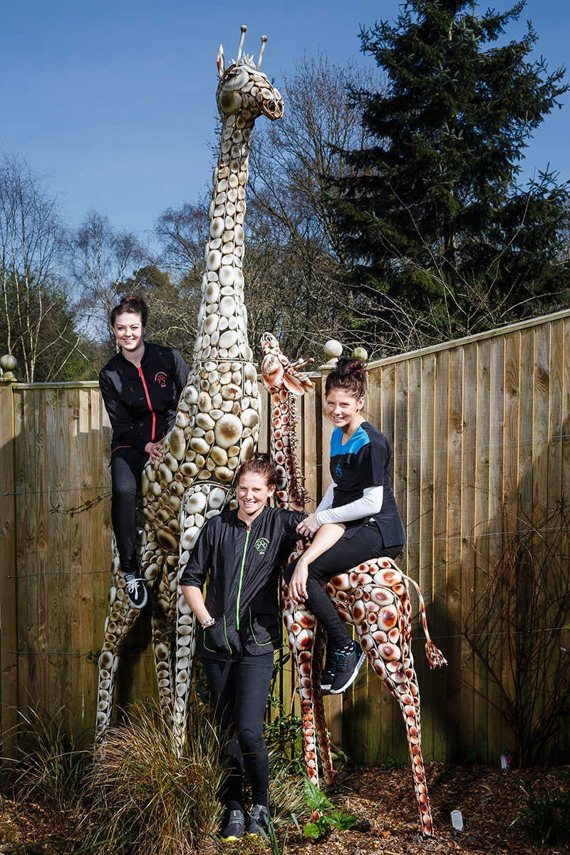 Keepers Kennels - Boarding Kennels Lower Beeding, Horsham, West Sussex ...