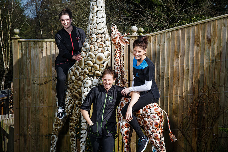 Keepers Kennels - Boarding Kennels Lower Beeding, Horsham, West Sussex ...