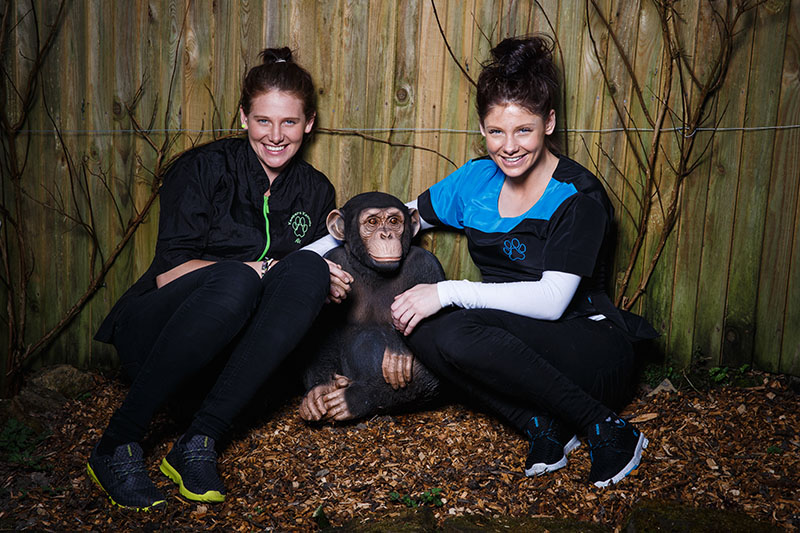 Keepers Kennels - Boarding Kennels Lower Beeding, Horsham, West Sussex ...