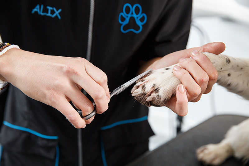 Keepers Kennels - Boarding Kennels Lower Beeding, Horsham, West Sussex ...