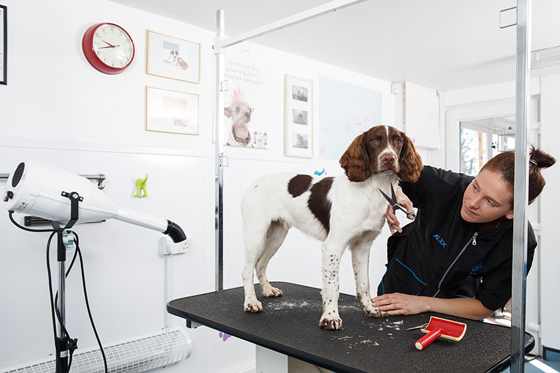 Keepers Kennels - Boarding Kennels Lower Beeding, Horsham, West Sussex ...