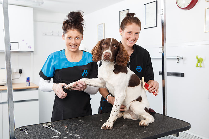 Keepers Kennels - Boarding Kennels Lower Beeding, Horsham, West Sussex ...