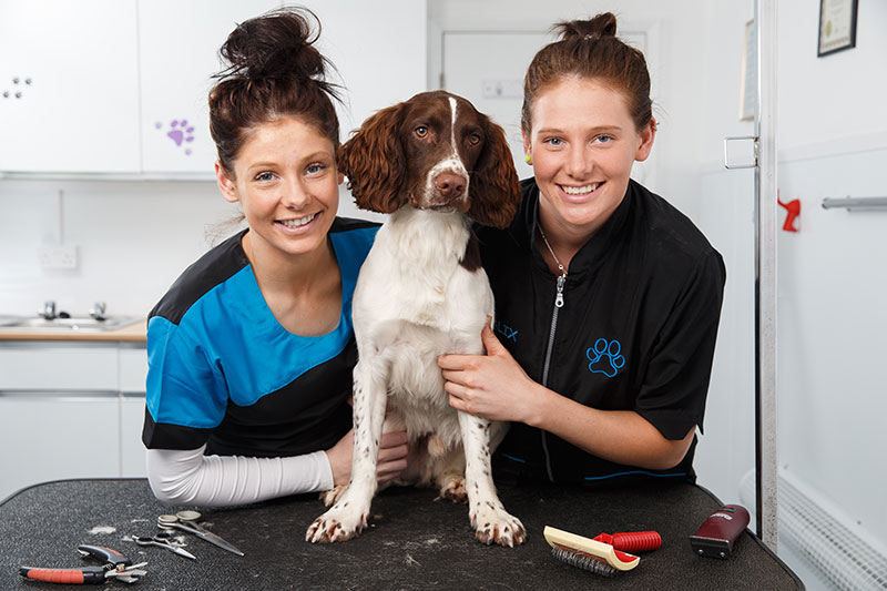 Keepers Kennels - Boarding Kennels Lower Beeding, Horsham, West Sussex ...