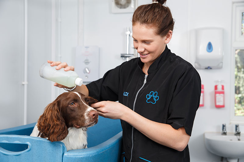 Keepers Kennels - Boarding Kennels Lower Beeding, Horsham, West Sussex ...