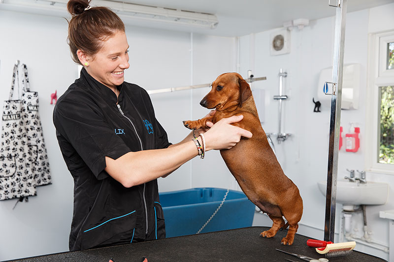 Keepers Kennels - Boarding Kennels Lower Beeding, Horsham, West Sussex ...