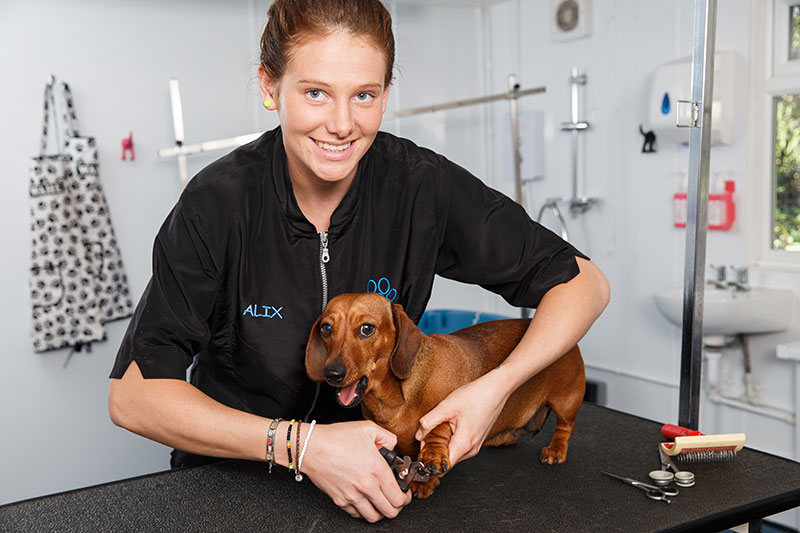 Keepers Kennels - Boarding Kennels Lower Beeding, Horsham, West Sussex ...