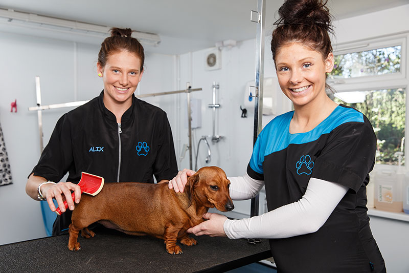 Keepers Kennels - Boarding Kennels Lower Beeding, Horsham, West Sussex ...