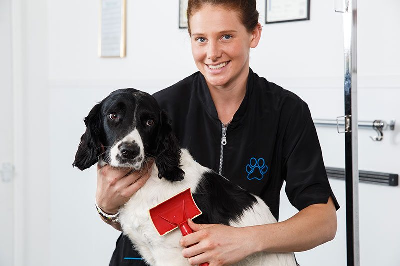 Keepers Kennels - Boarding Kennels Lower Beeding, Horsham, West Sussex ...