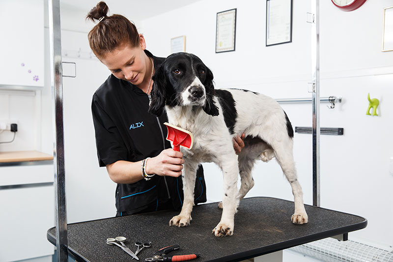 Keepers Kennels - Boarding Kennels Lower Beeding, Horsham, West Sussex ...