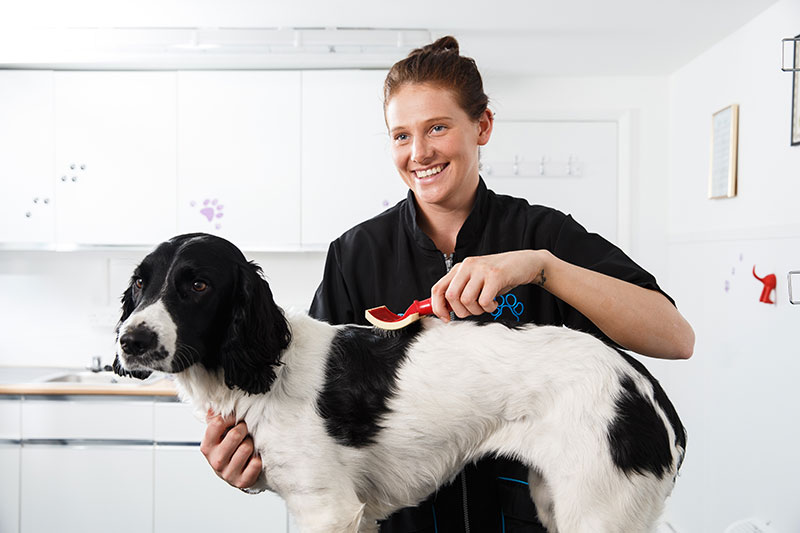 Keepers Kennels - Boarding Kennels Lower Beeding, Horsham, West Sussex ...