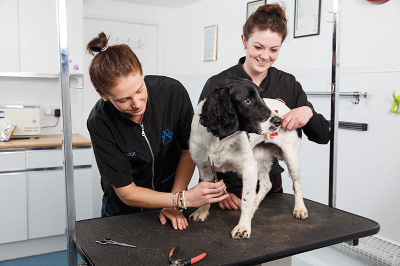 Keepers Kennels - Boarding Kennels Lower Beeding, Horsham, West Sussex ...