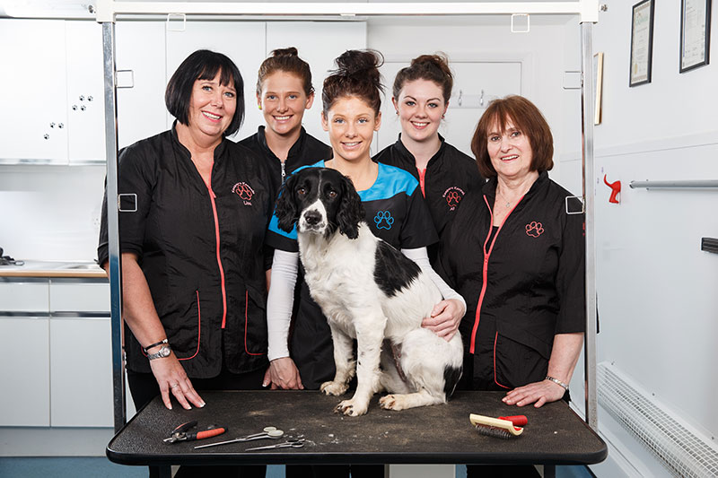 Keepers Kennels - Boarding Kennels Lower Beeding, Horsham, West Sussex ...