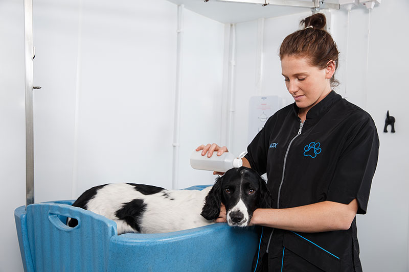 Keepers Kennels - Boarding Kennels Lower Beeding, Horsham, West Sussex ...