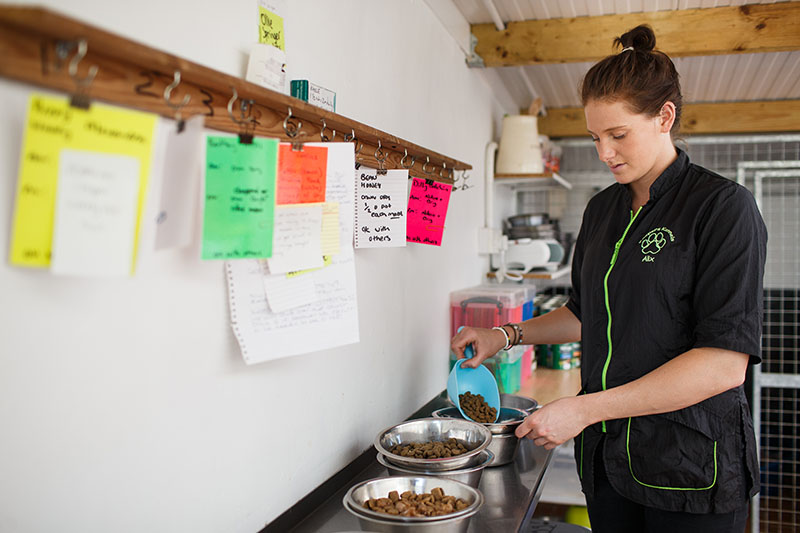 Keepers Kennels - Boarding Kennels Lower Beeding, Horsham, West Sussex ...