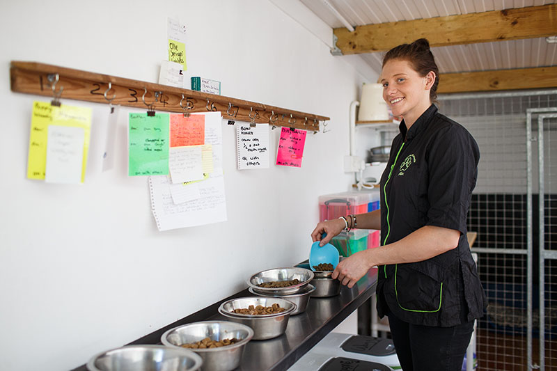 Keepers Kennels - Boarding Kennels Lower Beeding, Horsham, West Sussex ...