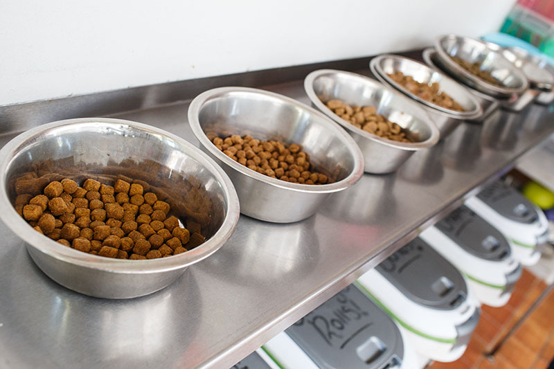 Keepers Kennels - Boarding Kennels Lower Beeding, Horsham, West Sussex ...