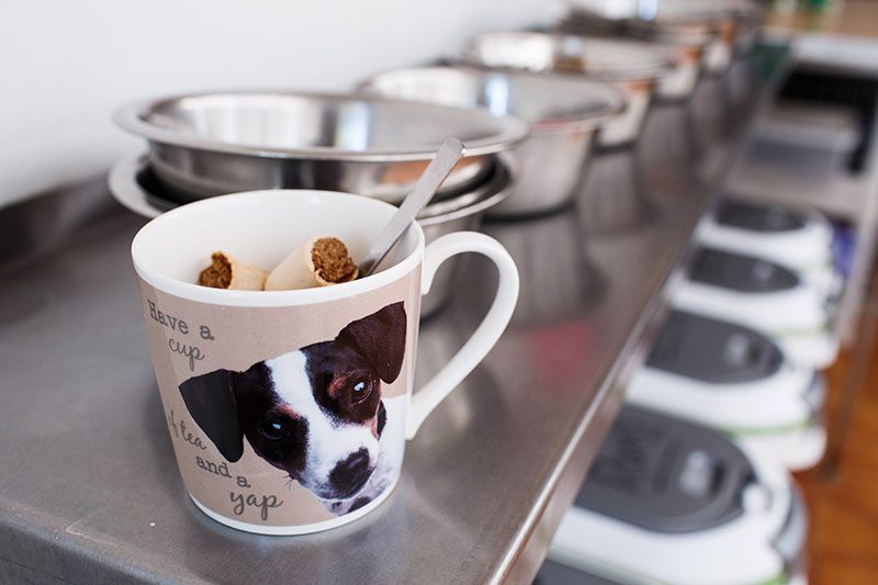 Keepers Kennels - Boarding Kennels Lower Beeding, Horsham, West Sussex ...