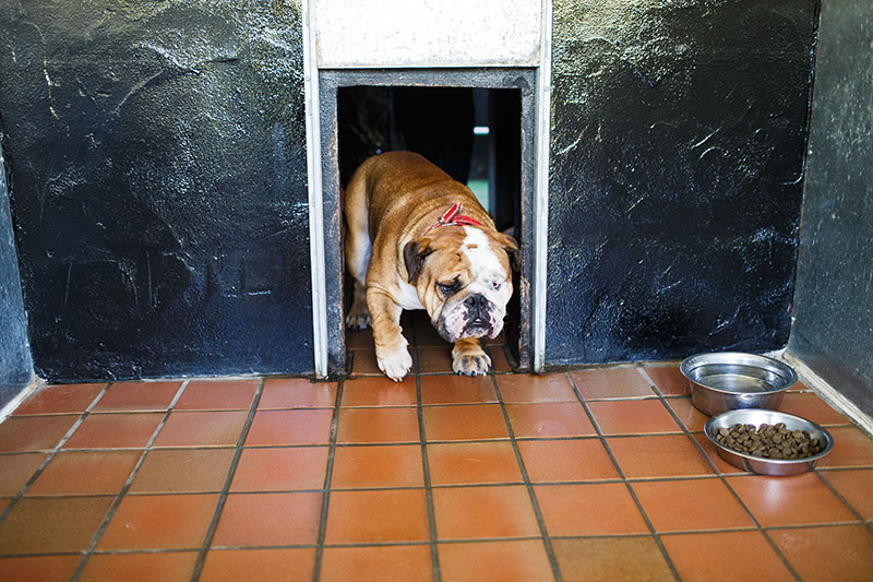 Keepers Kennels - Boarding Kennels Lower Beeding, Horsham, West Sussex ...