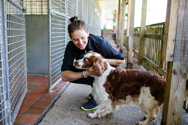 Keepers Kennels - Boarding Kennels Lower Beeding, Horsham, West Sussex ...
