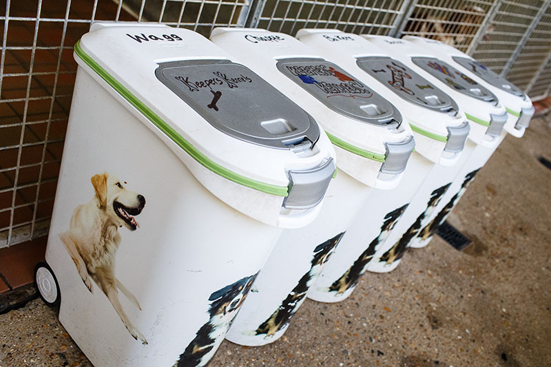 Keepers Kennels - Boarding Kennels Lower Beeding, Horsham, West Sussex ...